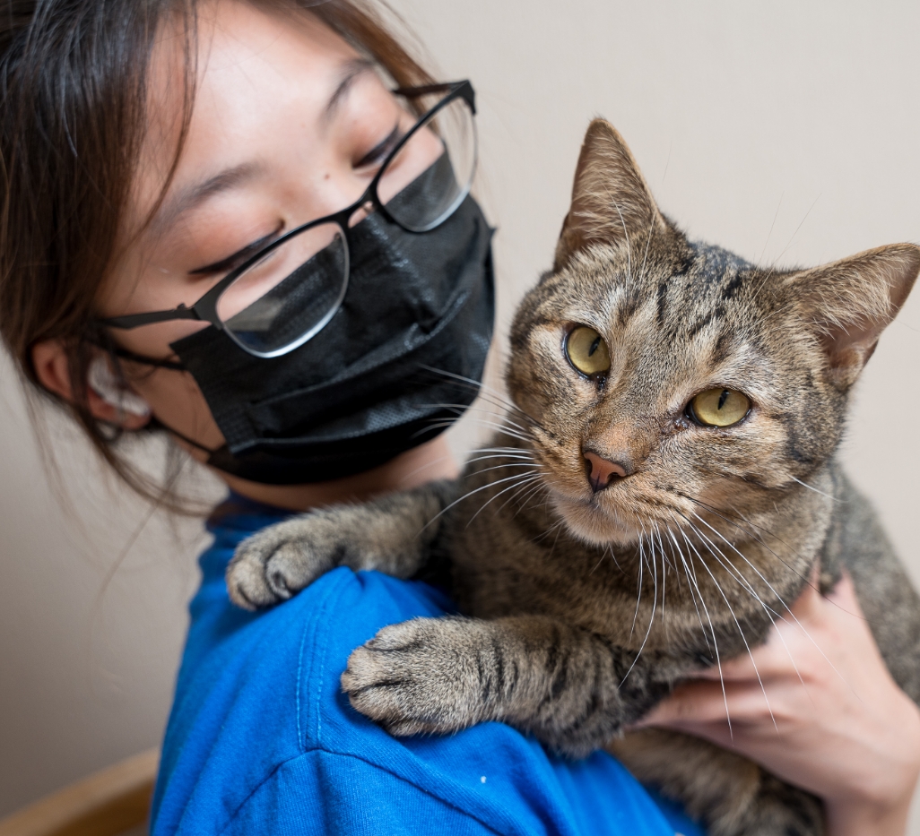 Our Values - Humane Society of Dallas County