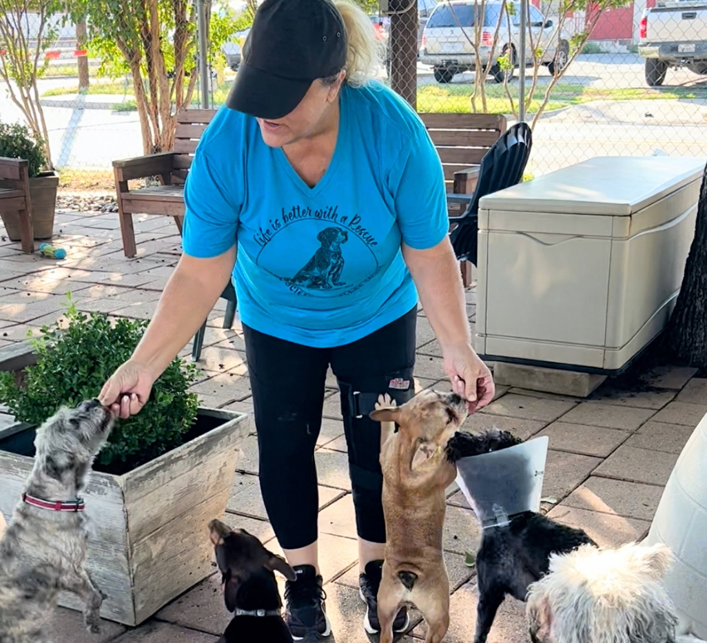 Our Values - Humane Society of Dallas County