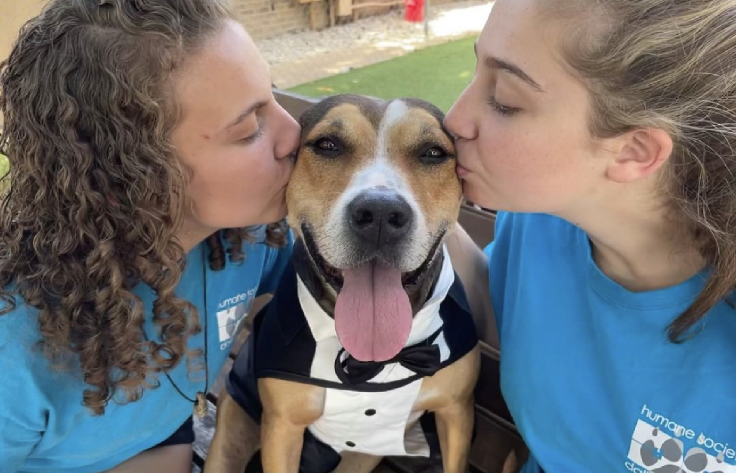 Humane Society of Dallas County